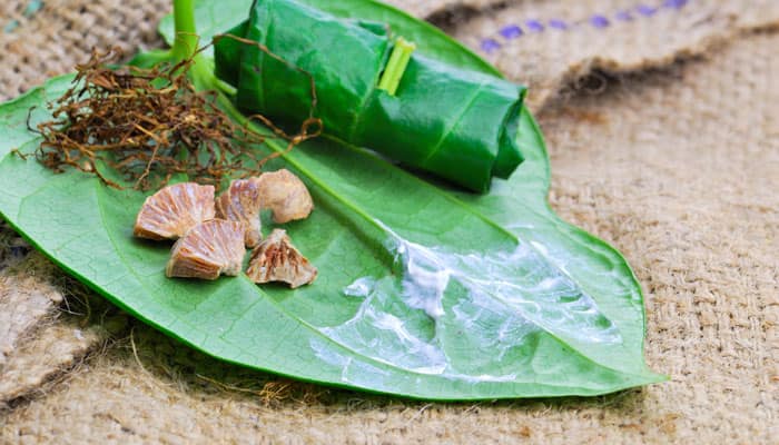 வெற்றிலையின் மருத்துவ பயன்கள்!! | Health News in Tamil