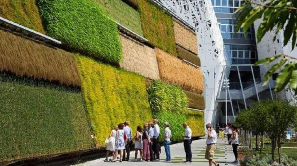 Photo Gallery: Amazing vertical wall farming system lot of benefits and ...