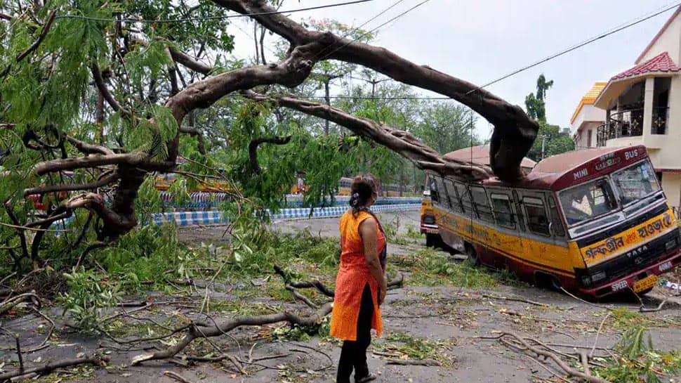Year ender 2020: Major natural disasters that shook the world in this ...