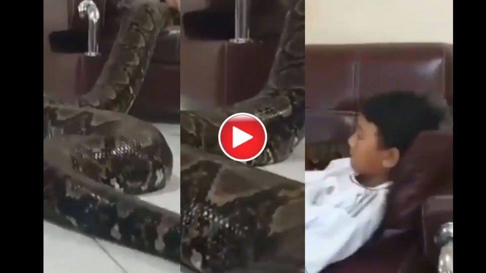 Watch viral video of Python | Watch Viral Video: சிறுவனை சுற்றி வளைத்த ...