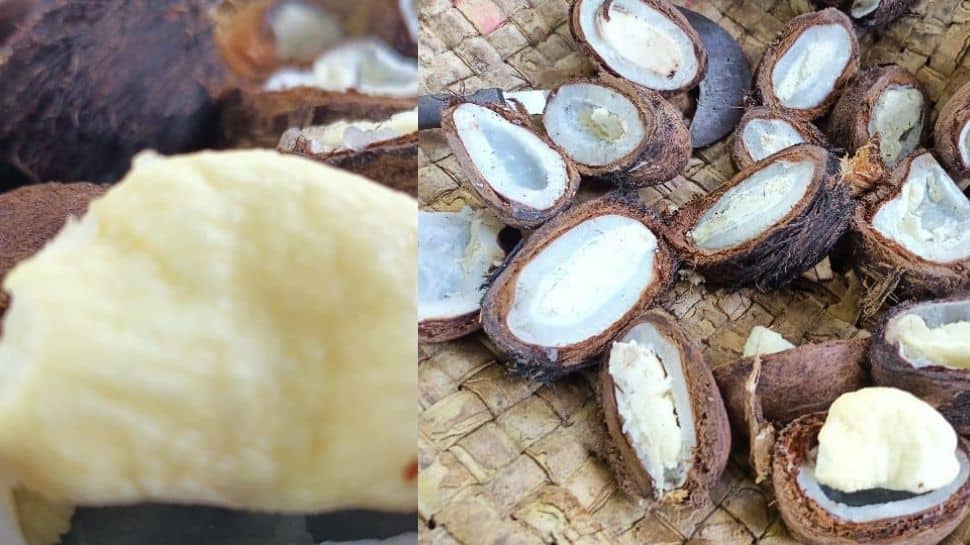 know the medicinal benefits of panai kavun | மருத்துவ குணம் மிக்க தவுன் ...