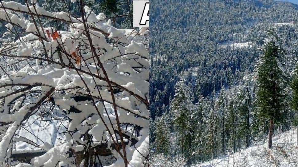 Morning visuals of fresh snowfall at Khara Pathar village Shimla | பனி ...