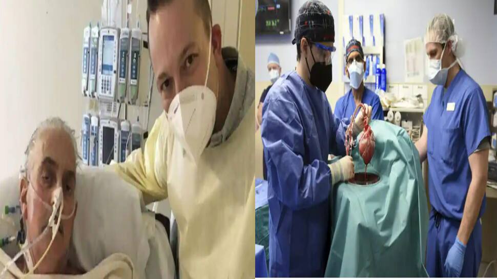 பன்றியின் இதயம் பொருத்தப்பட்ட நபர் 2 மாதங்களுக்கு பின் மரணம் | David ...