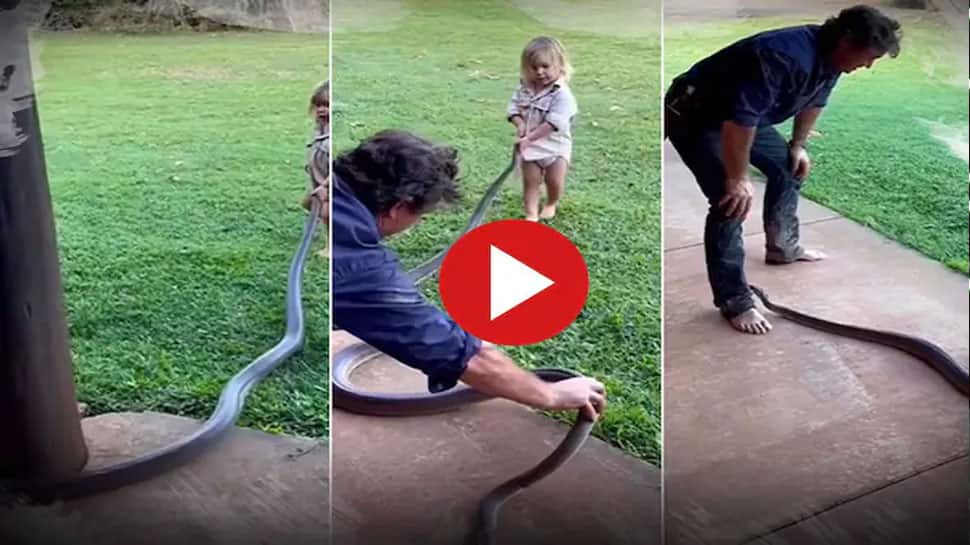 Viral Video: Baby playing with Snake without fear | பாம்பெல்லாம் எனக்கு ...