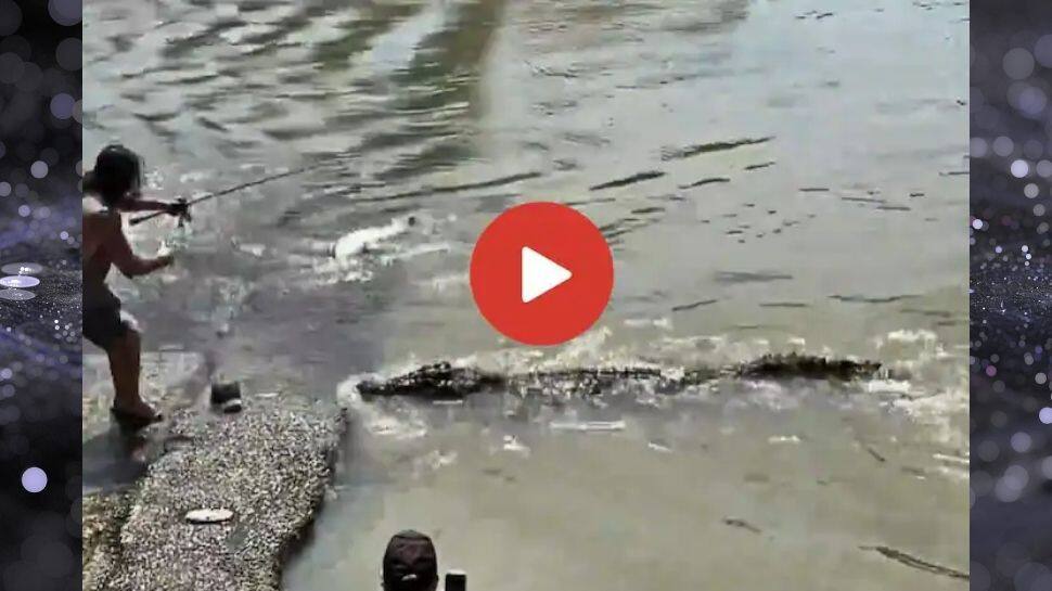 Viral Video: A person who went fishing was chased by crocodile | Viral ...