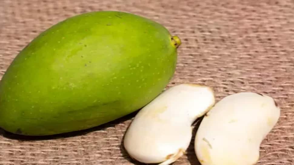 Benefits Of Mango Seeds | மாங்கொட்டையில் இருக்கும் நன்மைகள் | News in Tamil