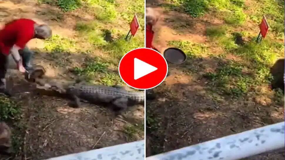 Crocodile Attack Viral Video: Netizens amused at the sudden twist ...