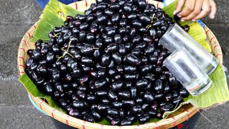Java Plum or Jamun Benefits Improves hemoglobin Treats diabetes | நாவல் ...