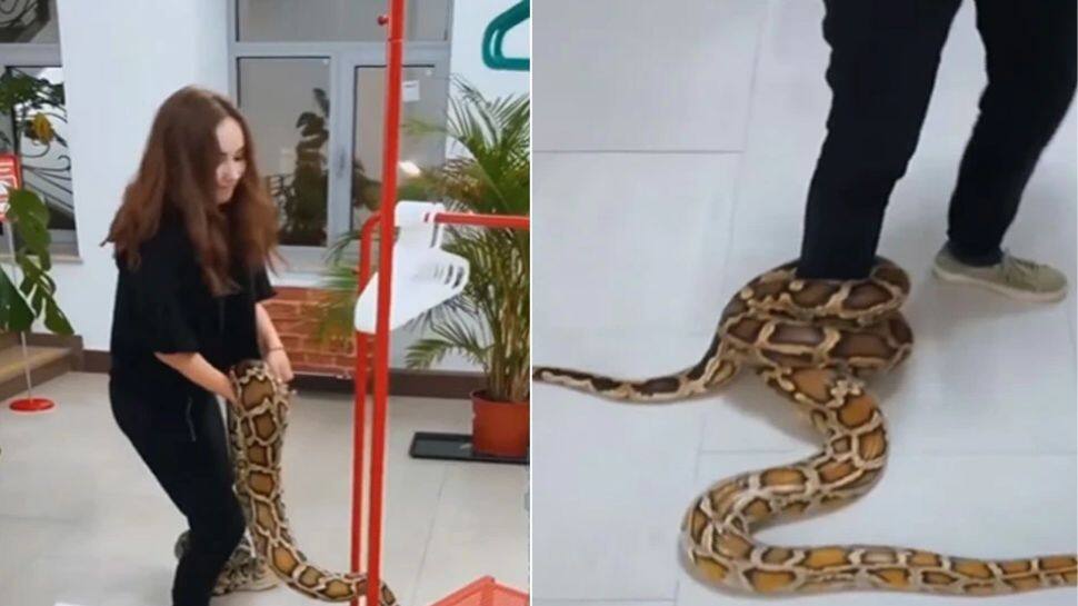 Snake and Girl Video Goes Viral in Social Media | காலைச் சுற்றிய பாம்பு ...
