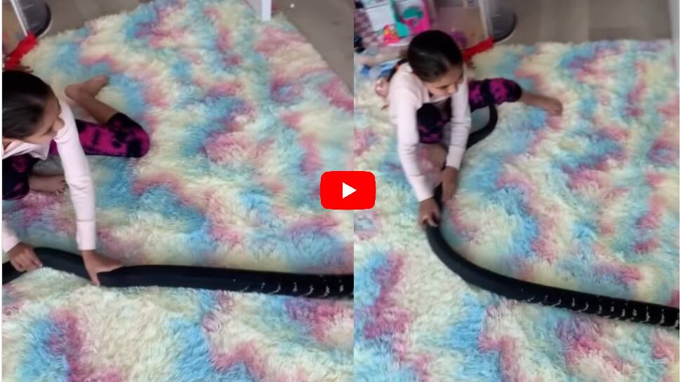 OMG Little Girl Pulls the Big Python like a rope Video Goes Viral ...