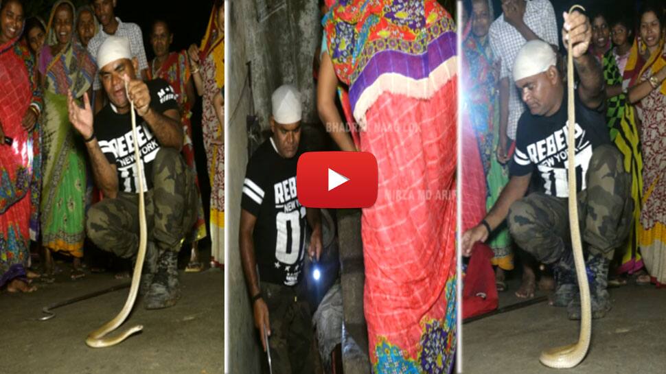 King Cobra Attack Video: Cobra Hidden In House | நாகப்பாம்பிடமிருந்து ...