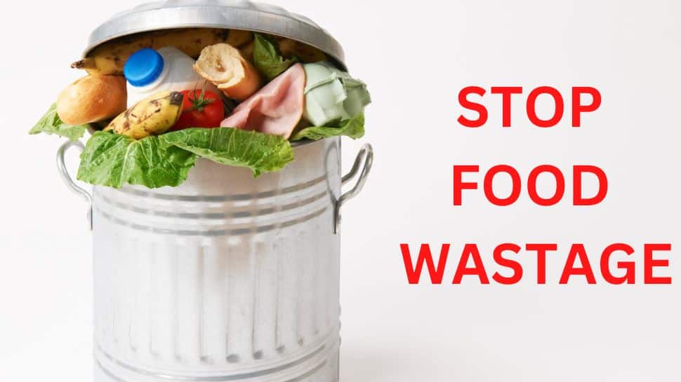 Do Not Waste Food: Scarcity And Environment Concern Raising | Respect ...
