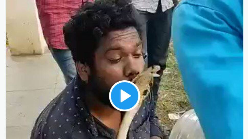 Naga Snake bites a Man in Karnataka Video viral | பாம்புக்கு முத்தம் ...