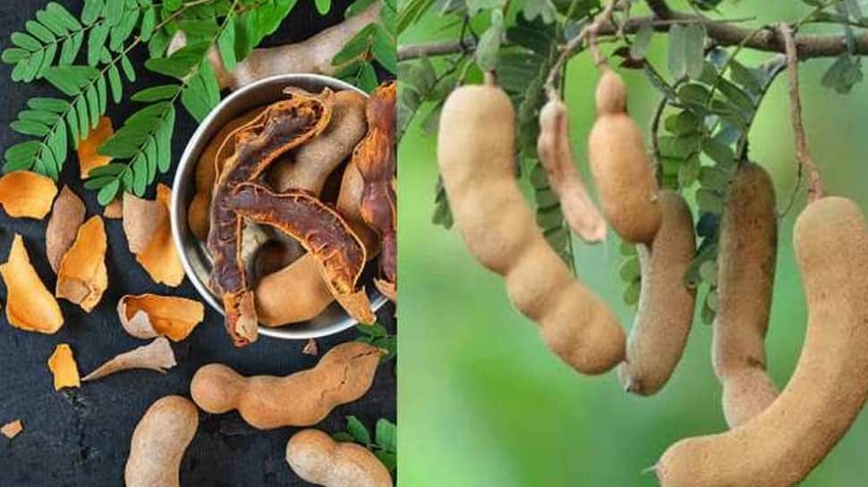 Health Benefits of Tamarind | தினசரி டயட்டில் புளியை சேர்த்துக்கோங்க ...