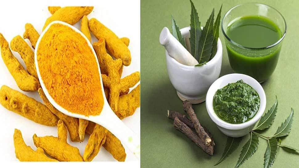 Neem and Turmeric Combination will do wonders in Skin Care | Skin Care ...