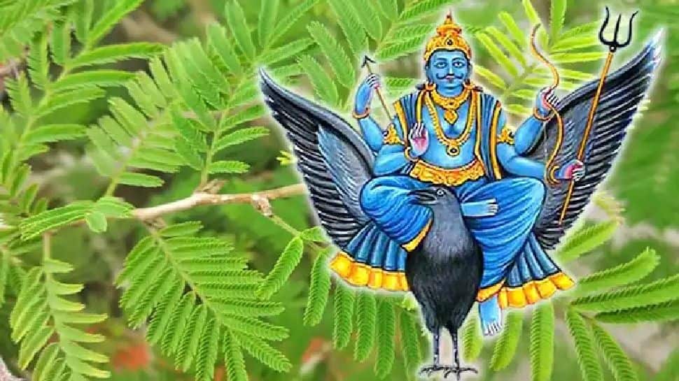 Ezharai Nattu Sani: Know how to Please Lord Shani | 5 ராசிகளில் சனியின் ...