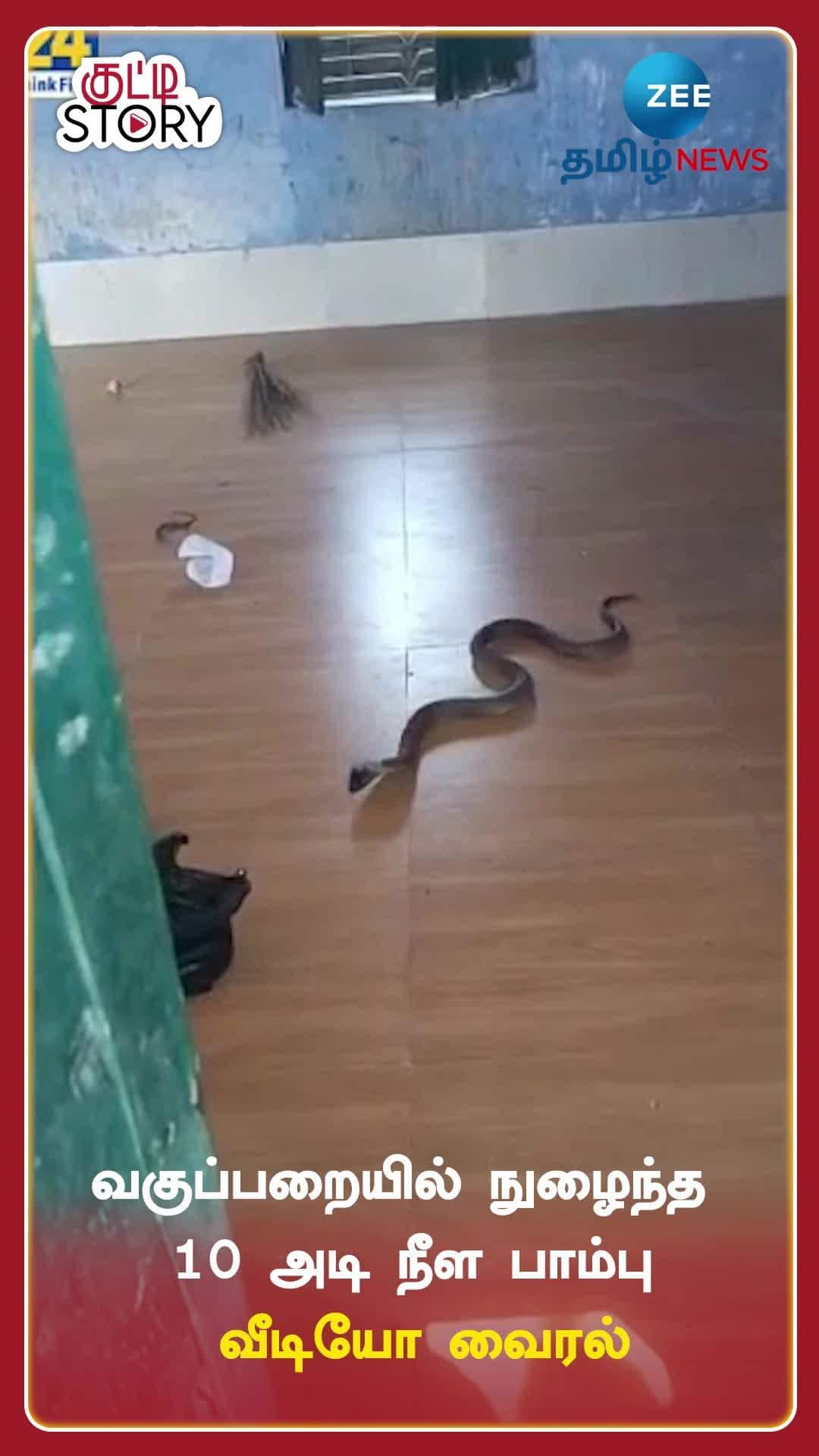10 feet snake enters inside the school | வகுப்பறையில் நுழைந்த 10 அடி ...