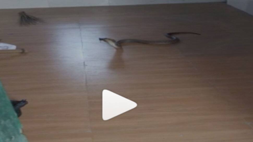 10 feet snake enters inside the school | வகுப்பறையில் நுழைந்த 10 அடி ...