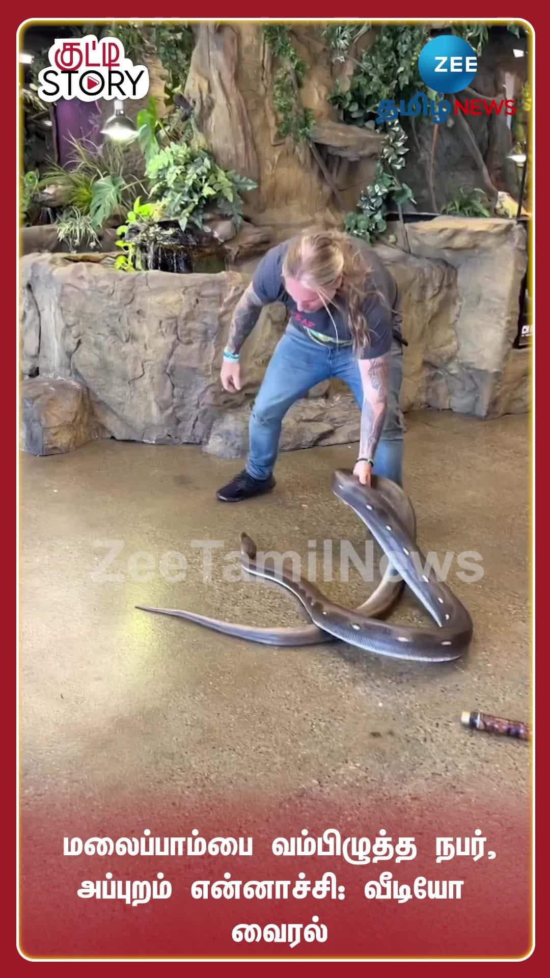 man playing with long size python video goes viral | மலைப்பாம்பை ...