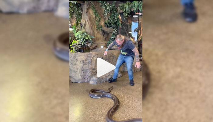 Dangerous 12ft Python Video | 12 அடி நீள மலைப்பாம்புடன் கொஞ்சி ...