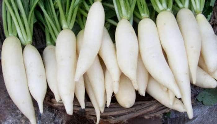 Benefits of Radish: Eat White Vegetable Like This | இரத்தத்தையும் ...
