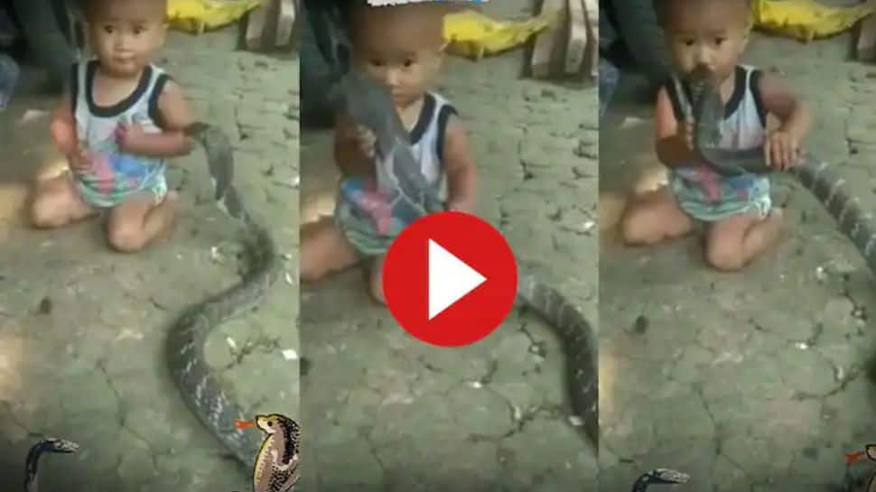 Scary Snake Child Video: Dangerous Snake comes near Child, See what ...