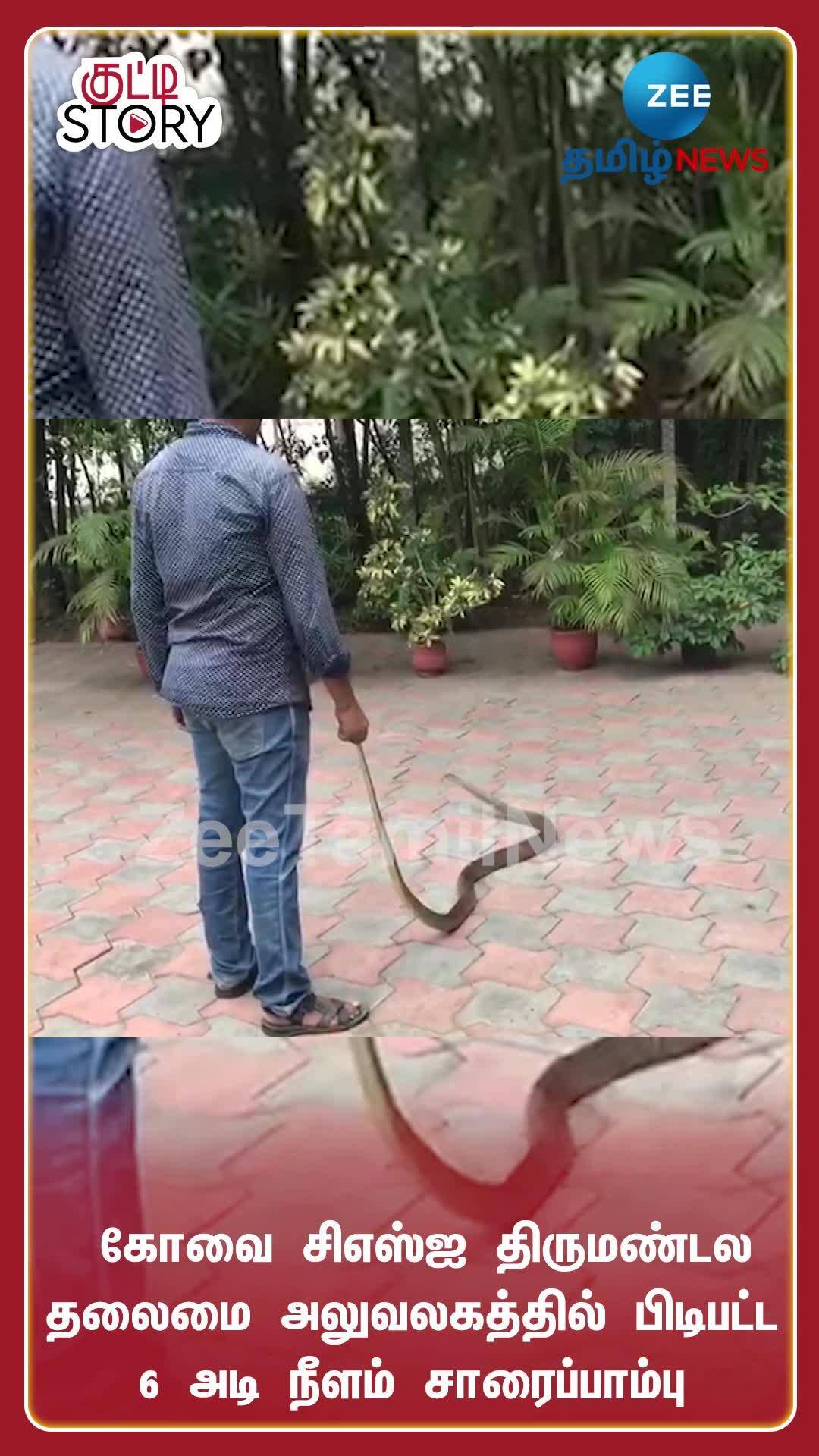 6 feet snake enter in CSI Coimbatore office video goes viral | கோவை ...