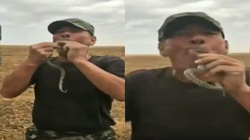 Scary Snake Video: Man Swallows Snake Alive, Snake Gives Shock | பாம்பை ...