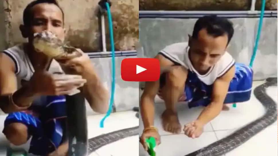 Rare Snake Bathing Video: Man Bathed Snake with Shampoo, Netizens ...