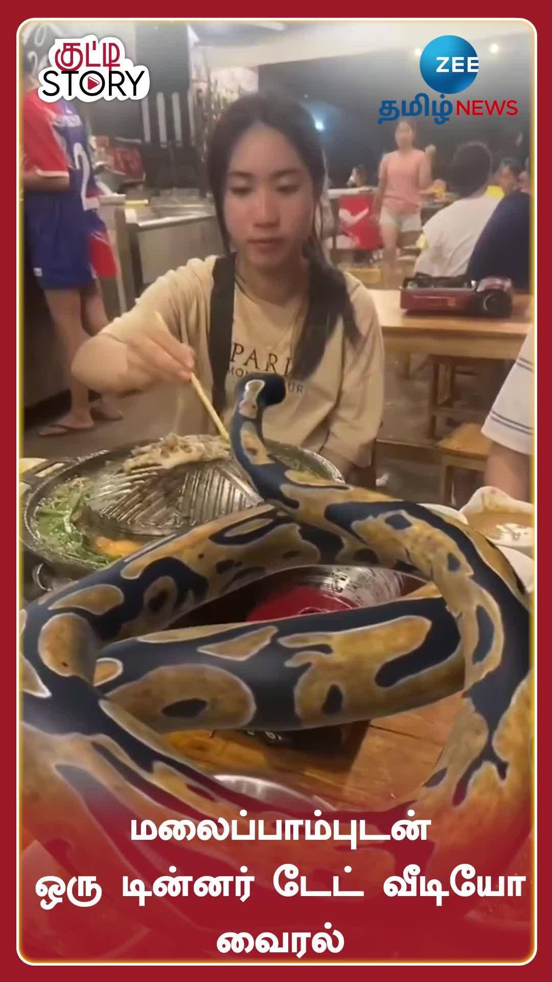 Python Viral Video: Girls On Dinner Date with Python, See What Happens ...