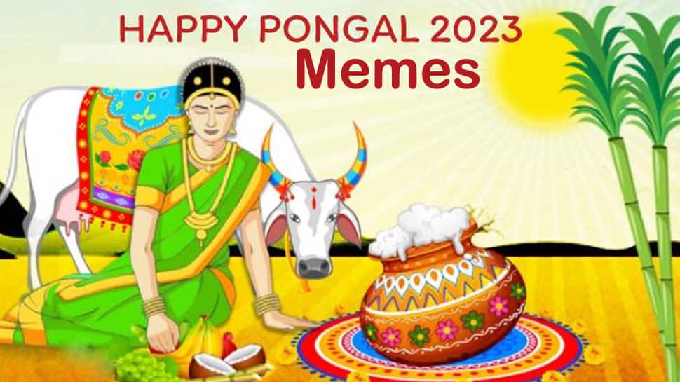 Happy Pongal Memes | Pongal 2023: இணையத்தில் வைரலாகும் பொங்கல் பண்டிகை ...