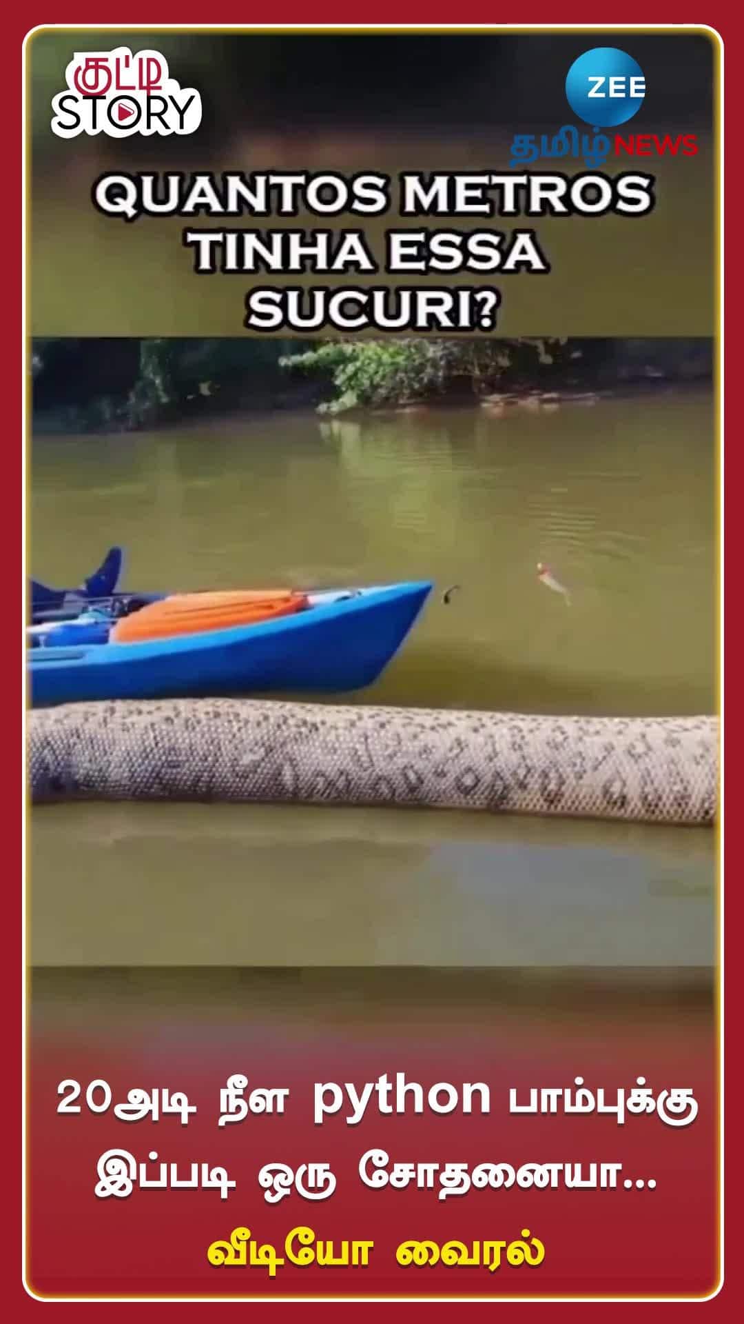 20 அடி நீள python பாம்புக்கு இப்படி ஒரு சோதனையா..வீடியோ வைரல் | News in ...
