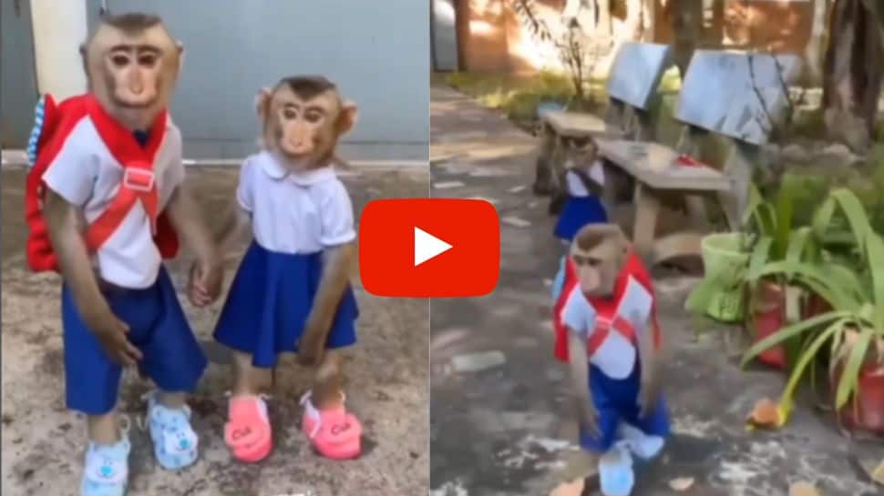 OMG Video Of Naughty Monkey Student Pair Walking In Scholl Uniform ...