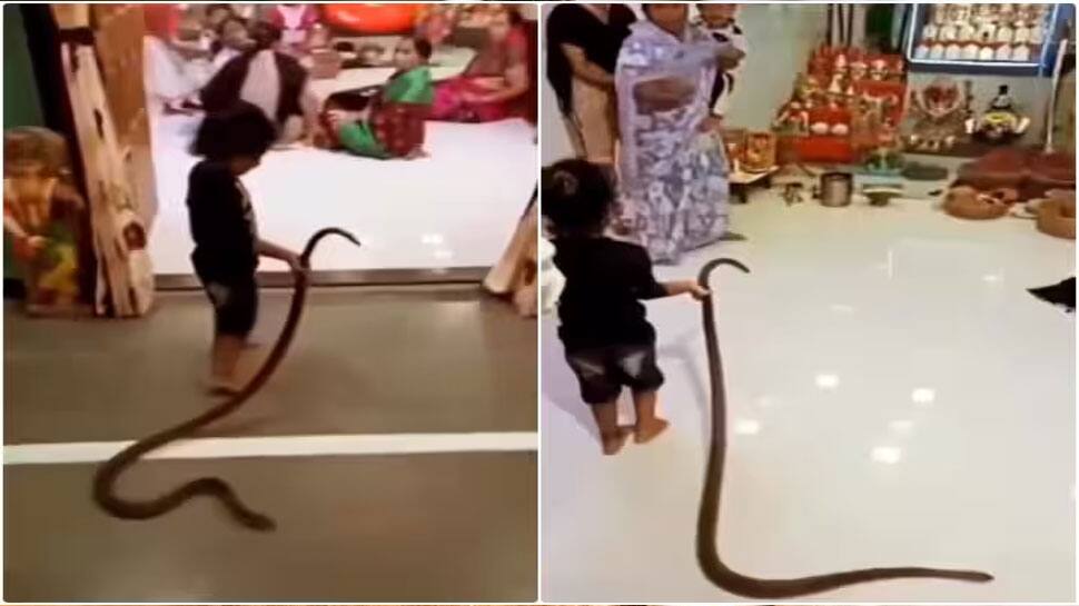 Small Girl Plays With Dangerous Snake | பாம்புடன் கோவிலுக்கு வந்து மாஸ் ...