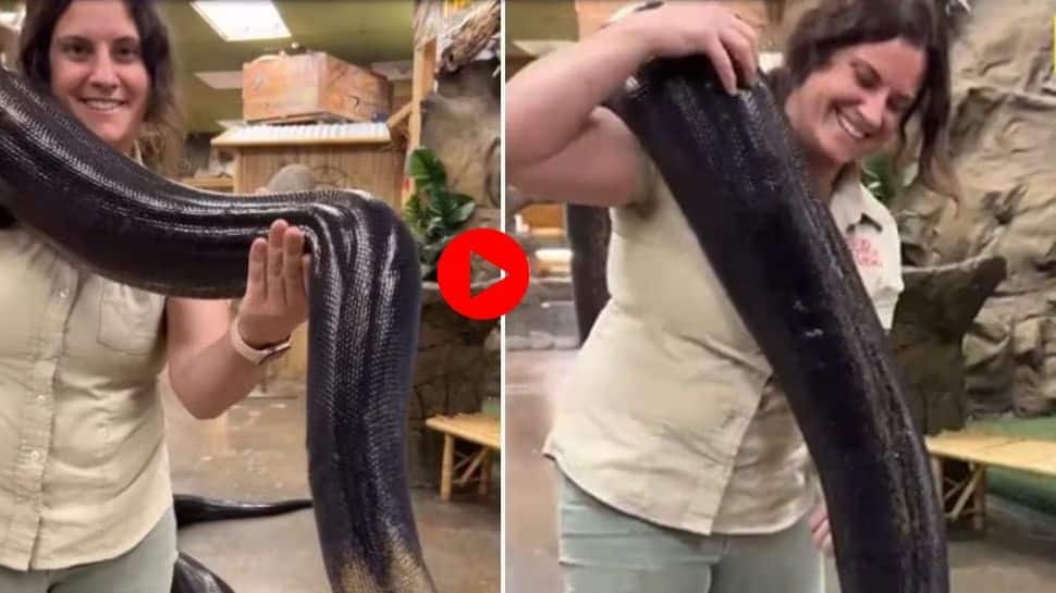 Scary Viral Video Of Woman Playing With 20 Feet Long Python Viral