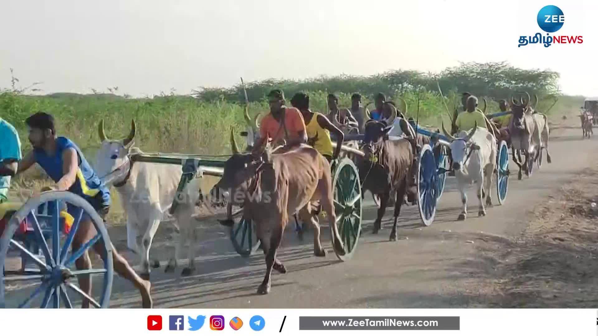 Rakla race on the occasion of Masi festival | மாசித் திருவிழாவையொட்டி ...