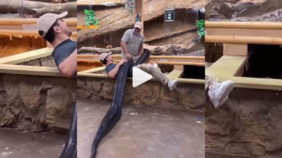 150 Kilo Python Snake Video | 150 கிலோ..20 அடி நீளம்..கிடுகிடுக்க ...