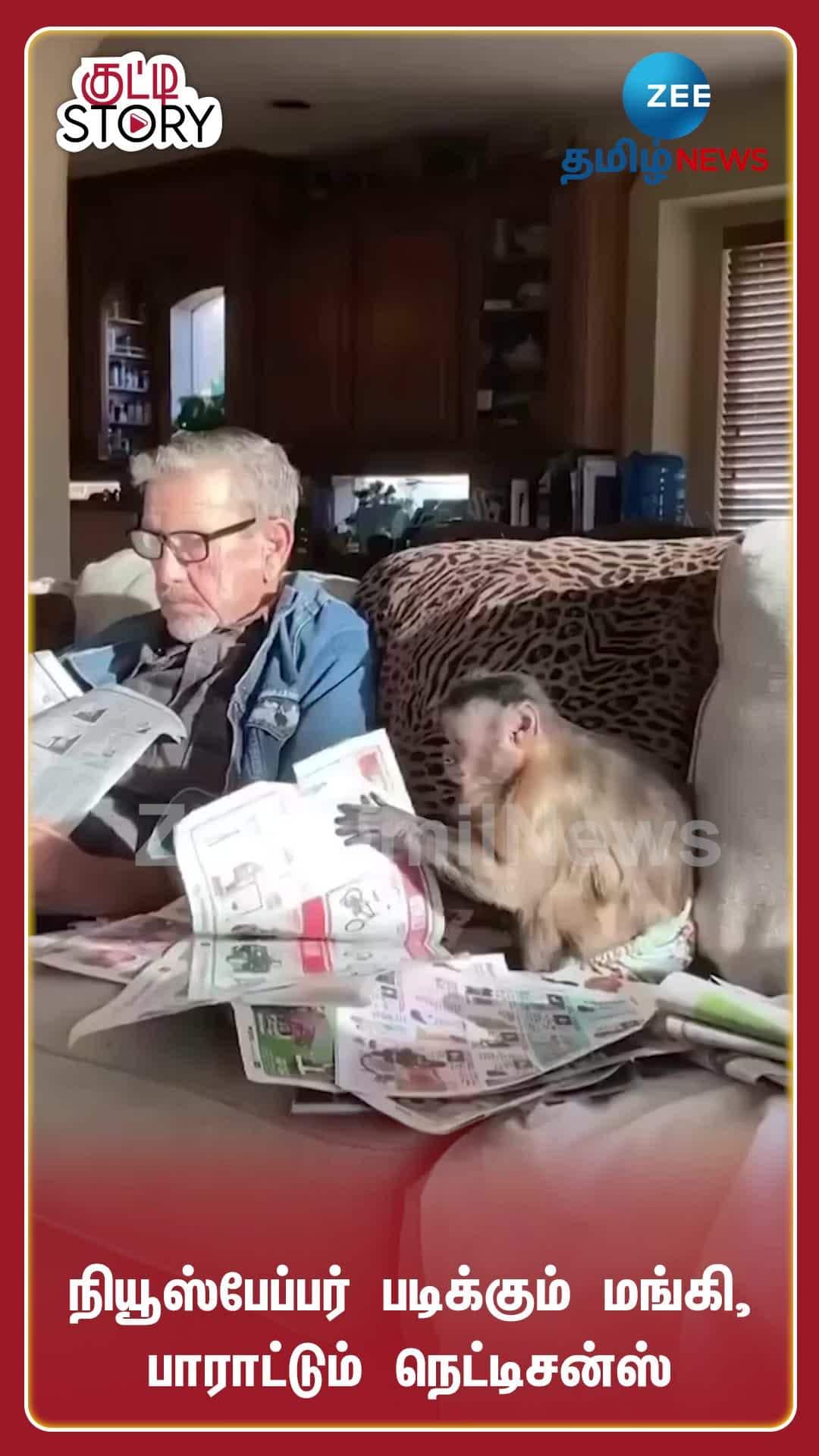 Funny Monkey Reading Newspaper, Video Goes Viral | நியூஸ்பேப்பர் ...