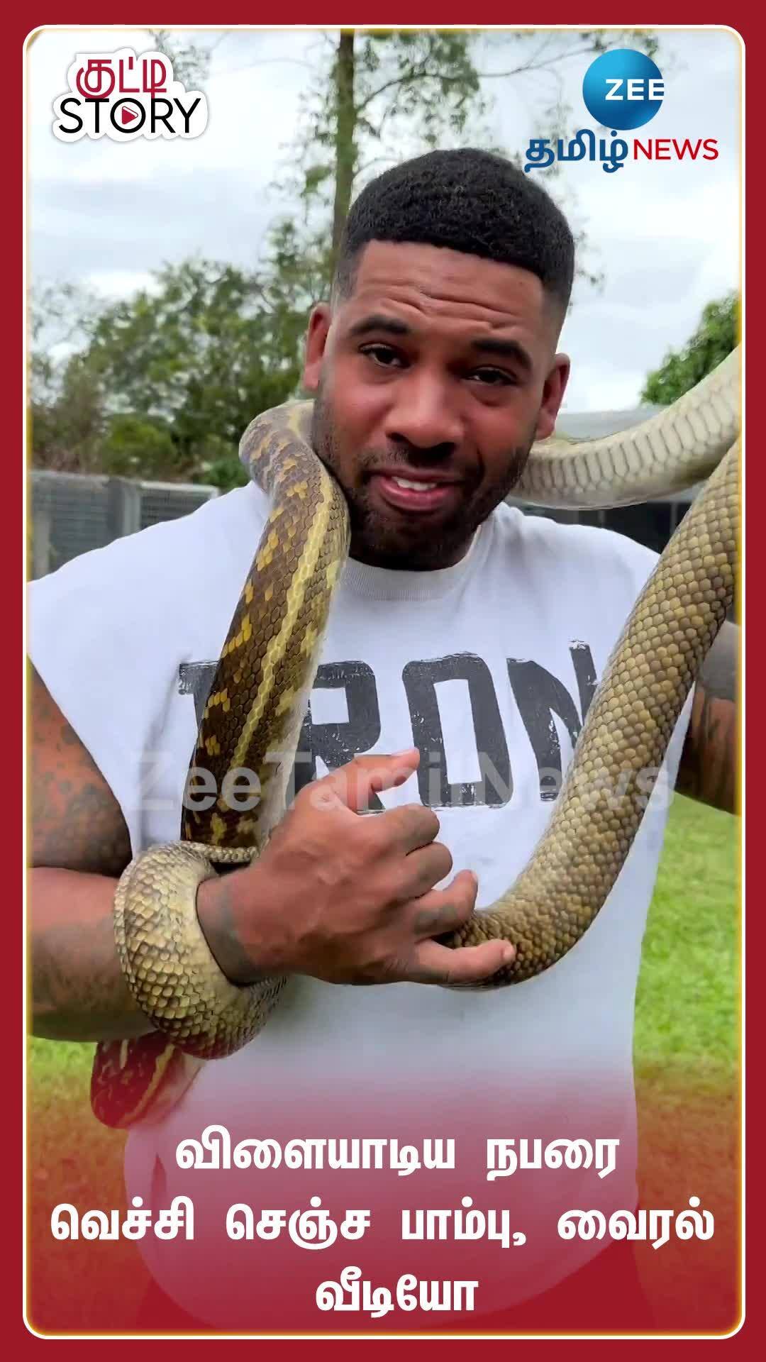 Huge Python Bites Man: Viral Video | விளையாடிய நபரை வெச்சி செஞ்ச பாம்பு ...