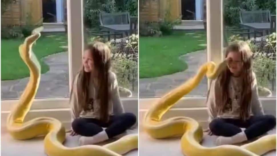Scary Viral Video: Girl Playing With Dangerous Snake Shocks Netizens ...