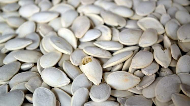 Health benefits of pumpkin seeds all should know | பூசணி விதையில் ...