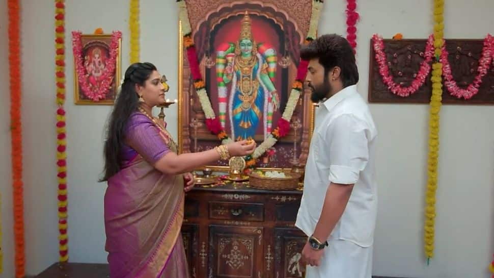 Karthigai Deepam Mass Twist Karthik Marries Deepa Instead of Nakshatra ...