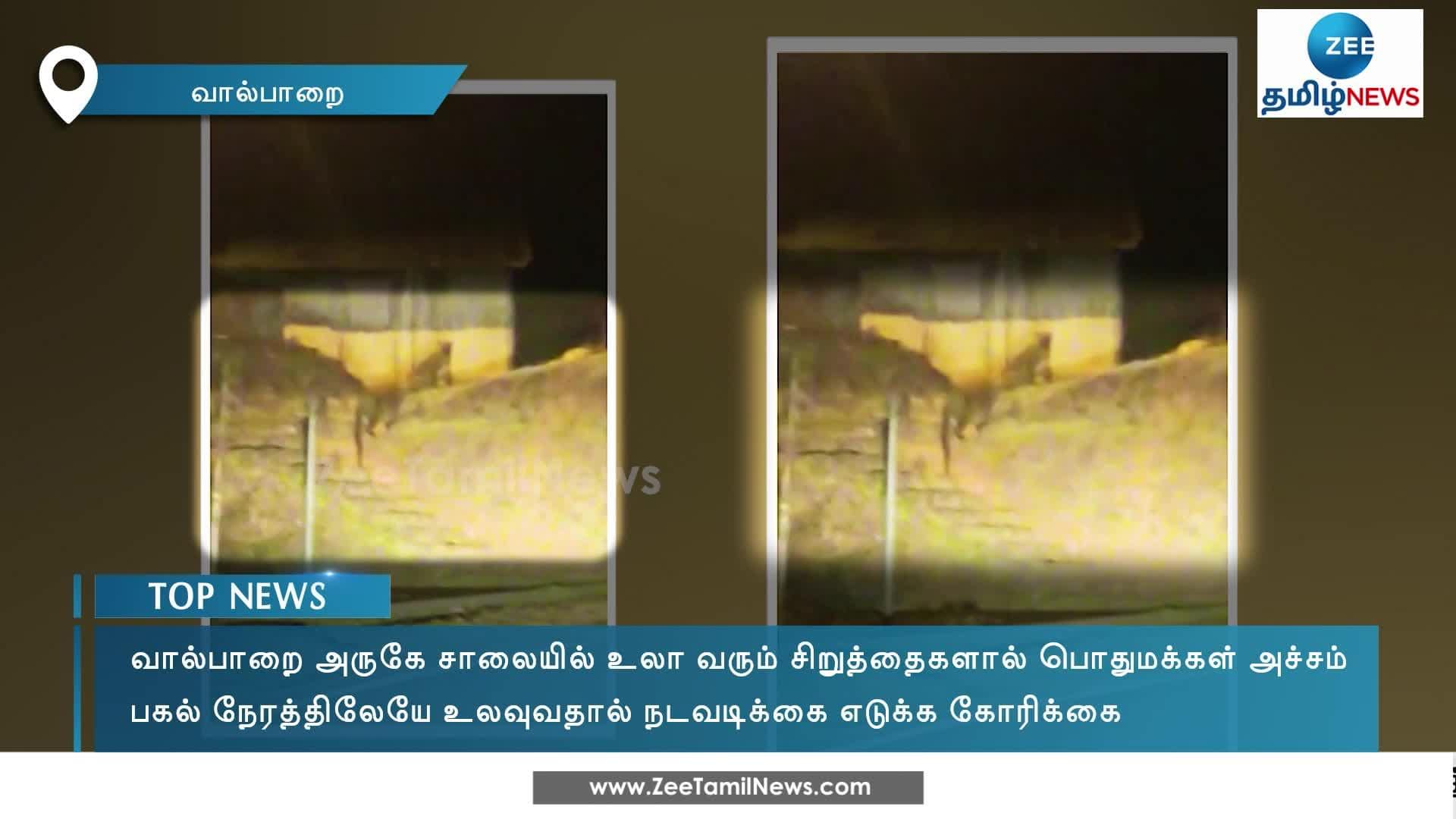 Leopards Roam in the streets of Valparai: Video Viral | வால்பாறை அருகே ...