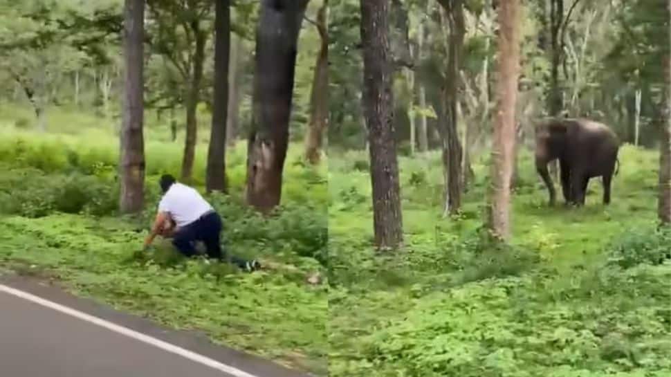 Scary Viral Video: Angry Elephant Chases Man | உயிர் தப்பிக்க ஓடும் ...