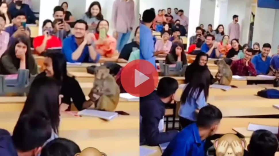 Funny Proposal Video: Monkey Proposes Girl in Classroom | வகுப்பில் ...