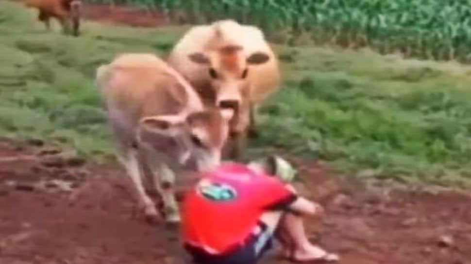 Emotional Viral Video: Cow Hugs Farmer after Seeing Him Sad | சோகத்தில் ...