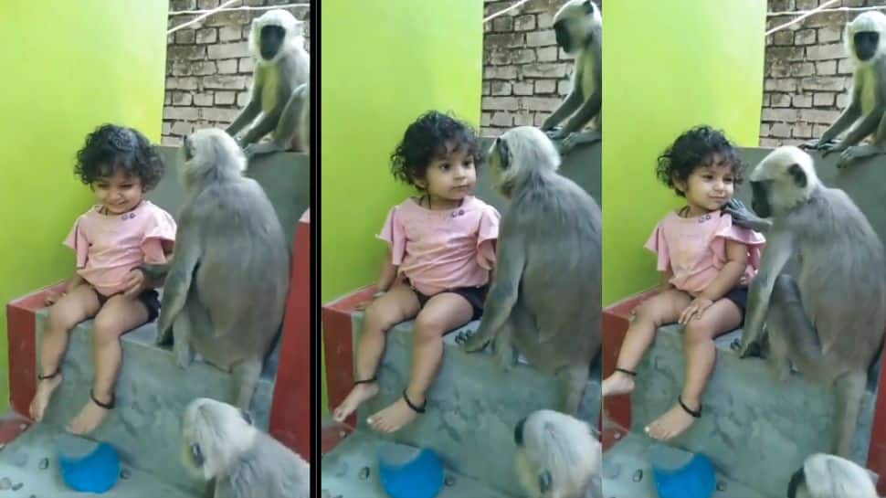 Funny Monkey Little Girl Friendship: Monkey Kisses, Girl React ...