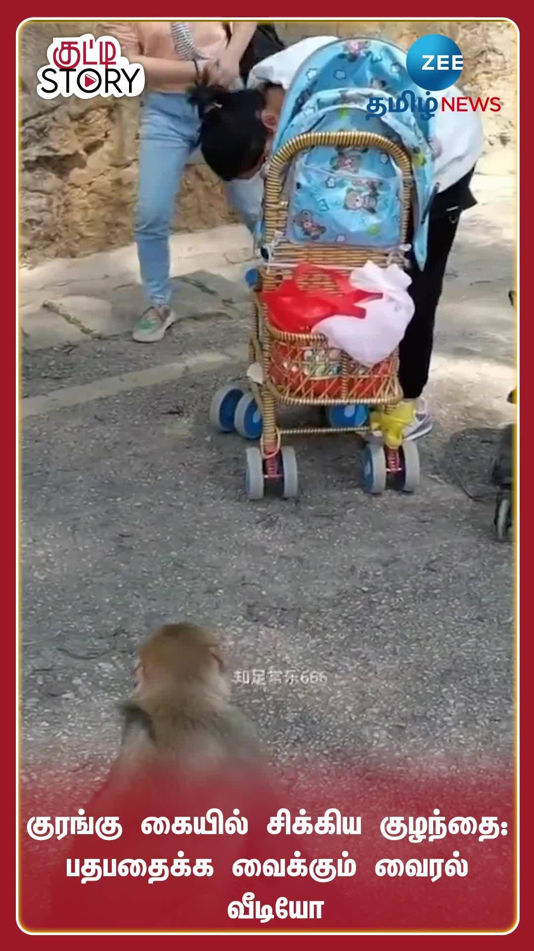 Scary Viral Video: Monkey Pulls Baby Girl's Hair for this Reason ...