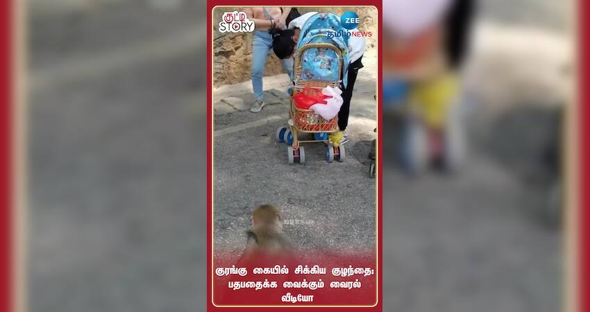 Scary Viral Video: Monkey Pulls Baby Girl's Hair for this Reason ...