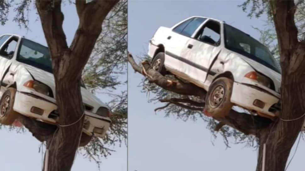 Car Parked on Tree: Unbelievable Viral Video | பார்க்கிங்குக்கு இடம் ...